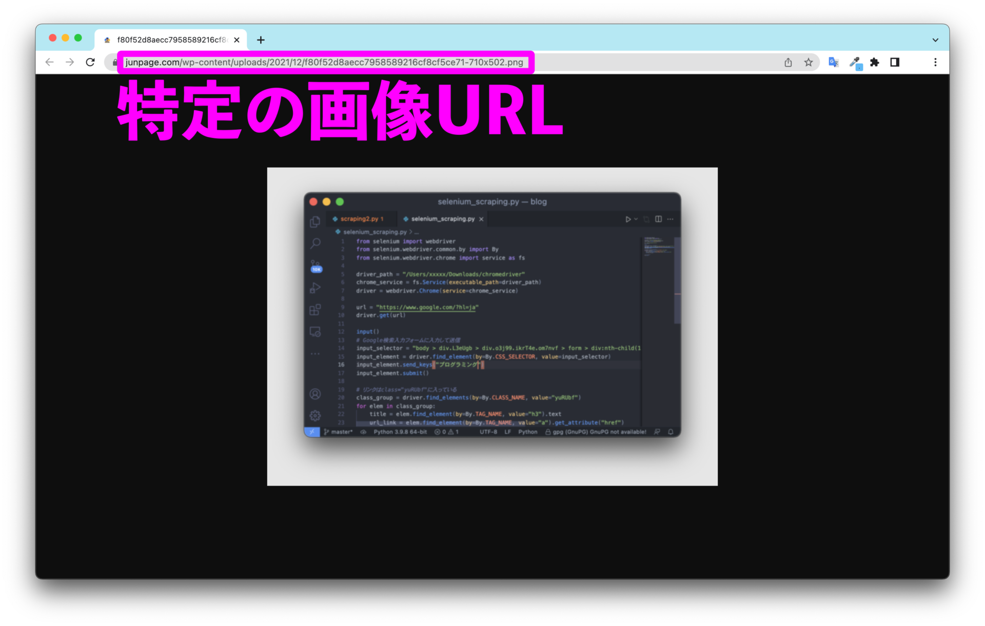 【python】Twitter APIを使って自動投稿・ツイートする方法 | プログラミングLab